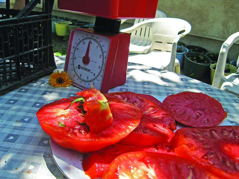 BANKA SEMENA LAZARA MITROVIĆA U KRAGUJEVCU: Nojeva arka za stare sorte ...