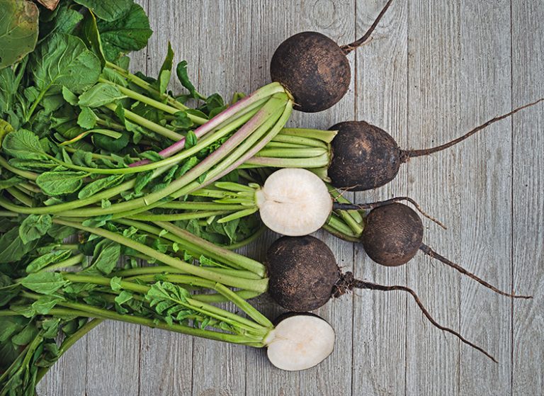 Crna rotkva za bele dane - Dobro Jutro